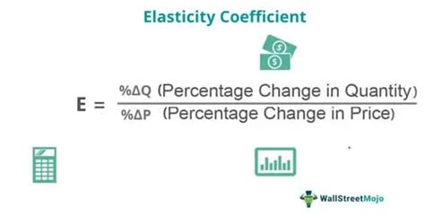 Elasticity Coefficient Definition Formula Examples Elasticity Coefficient Definition Formula Examples