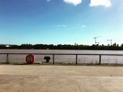 Skeleton War Is Over Release The Hounds  On Imgur