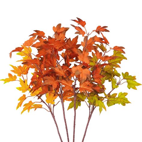 Autumn Maple Leaf Png