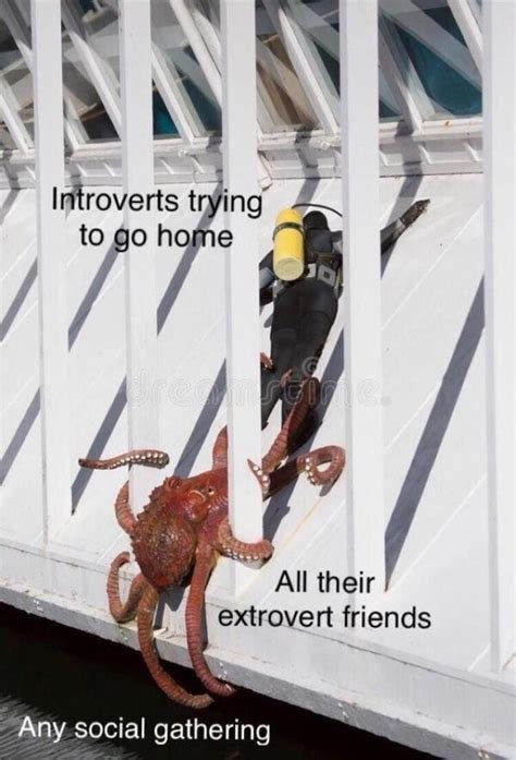 20 Memes That Show What Happens When An Extrovert Meets An Introvert Funny
