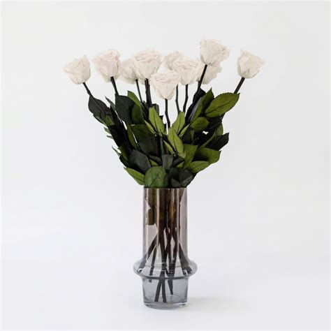 Long Stem Roses White Roses