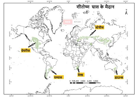 विश्व के घास प्रदेशgrasslands Of The World “geography From