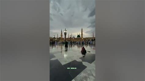 Newvideoeidta Youtube