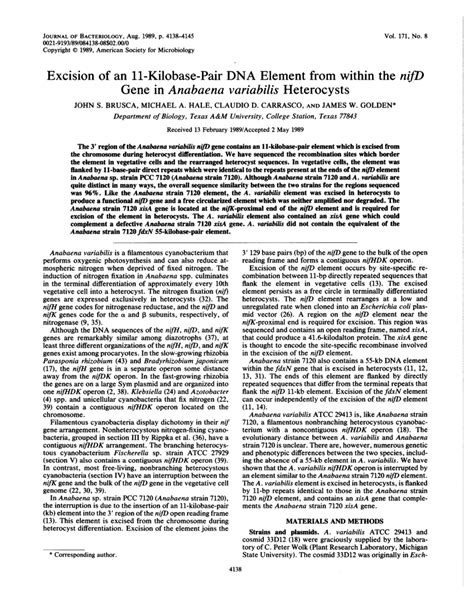 Pdf Excision Of An Li Kilobase Pair Dna Element From Within The Nifd