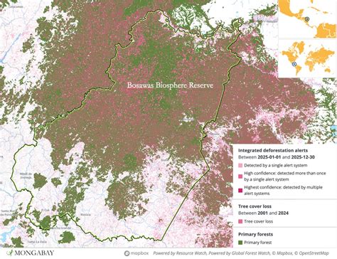Deforestation Climbs In Central Americas Largest Biosphere Reserve