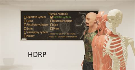 Humananatomyhdrp 3d Characters Unity Asset Store