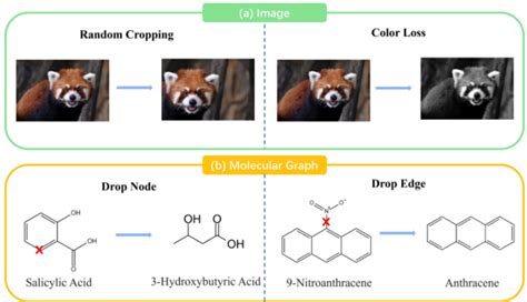 논문 리뷰 Gnn Transformer Cooperative Architecture For Trustworthy Graph Contrastive Learning