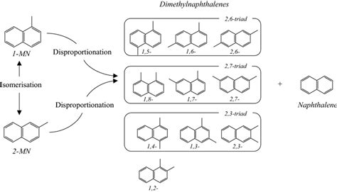 Possible Disproportionation And Isomerisation Reaction Pathways Of 2 Mn