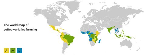 Sustainable Coffee Farming Across The World Agrivi