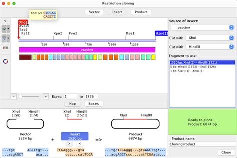 Molecular Cloning Software Virtual Cloning With Codoncode Aligner