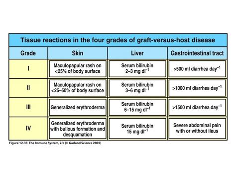 Ppt Lecture 10 Thymocyte Selection Ii Powerpoint Presentation Free Download Id 3346875