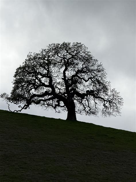 No Filter Album On Imgur