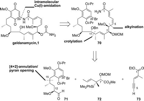 Design And Synthesis Of Ansamycin Antibiotics