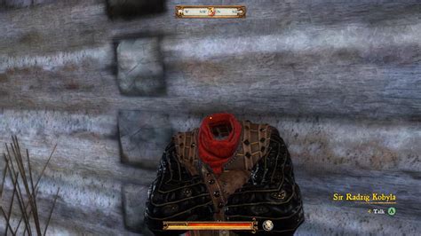 Uuuhhh… Sir Radzig You Feeling Ok R Kingdomcome