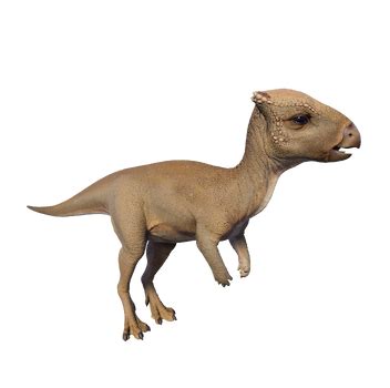 Homalocephale Dinodex Jurassic World Alive