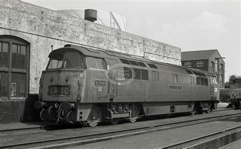 The Transport Library British Rail Diesel Loco Class 52 Western 1041