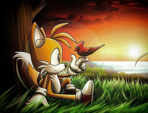 Tails Hd Wallpapers 100