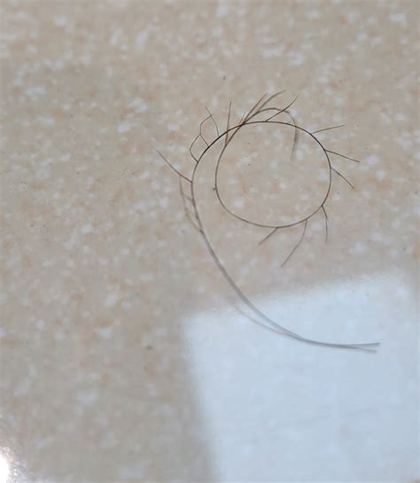 Tree Split Ends