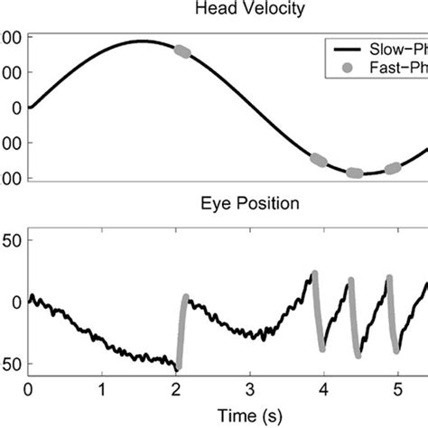 Simulated Input Output Data Used For Identification Note That Only 6 S