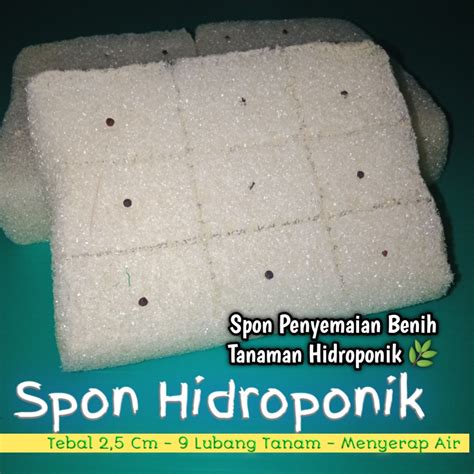 Jual Spon Hidroponik Spon Media Semai Tanaman Hidroponik Shopee Indonesia