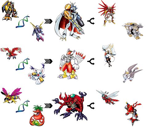 Digimon Leomon Evolution Chart