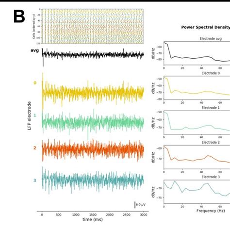 Lfp Recording And Analysis A Lfp Signals Left From 10 Extracellular Download Scientific