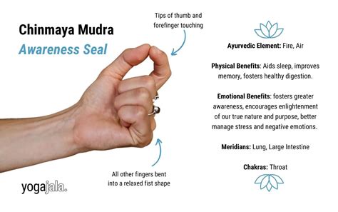 Chin Lock Yoga Benefits At Bob Bormann Blog