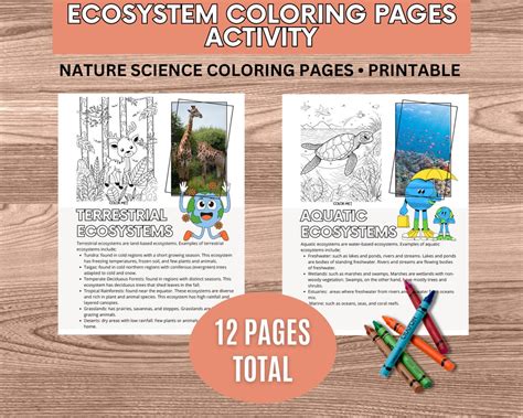 Ecosystem Coloring Pages Activity Nature Scenes Coloring Book