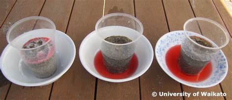 Denitrification Beds A Creative Approach