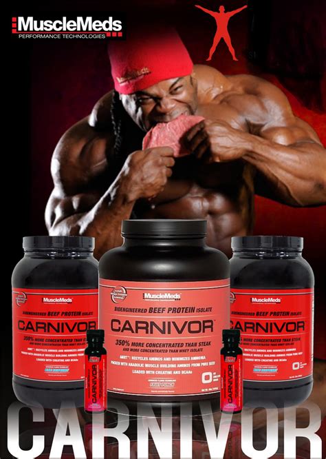 Carnivor Mass Beef Protein Mass Gainer I Free Shipping Australia Wide Factory Direct Nutrition