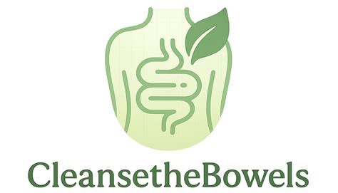 What Is The Enteric Nervous System Your Guts Second Brain Explained