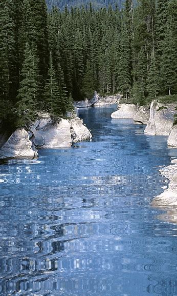 Moving River 