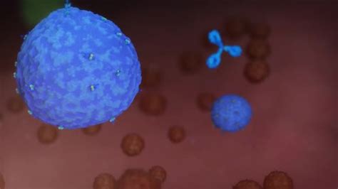 Virus Eradication Animation Design Backgrounds Motion Graphics Ft Immune System And Cancer Cell