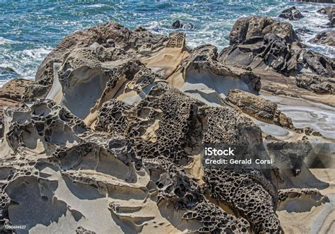 Tafoni Rock And The Pacific Ocean Shoreline At Salt Point State Park
