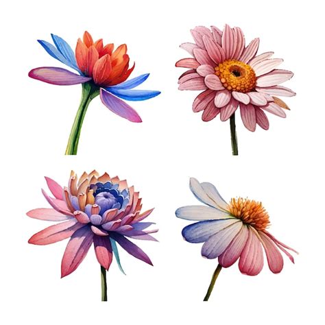Coleção De Flores Em Aquarela Desenhadas Vetor Premium