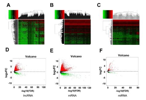 Rna Expression Heatmap And Volcano Map Of Liver Cancer Samples And