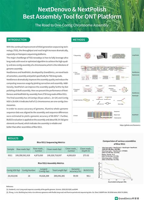 Nextdenovo And Nextpolish Best Assembly Tool For Ont Platform The Road To One Contig Chromosome