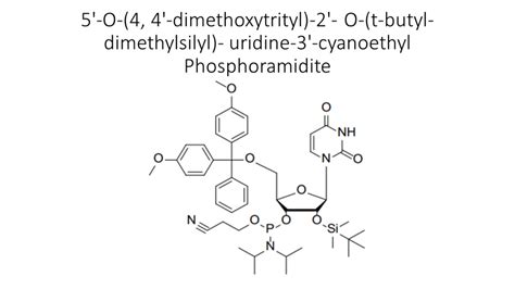 Rna Phosphoramidites Akonscientific