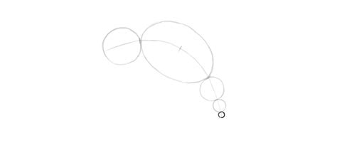 How To Draw A Dolphin Step By Step Envato Tuts