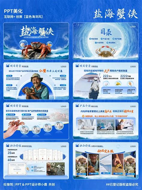 互联网老师都追着要的海产品ppt模板 小红书 花瓣网