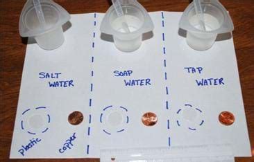 Cohesion Of Water On Penny