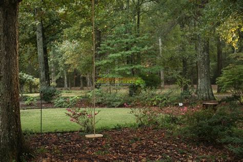 Classic Swing Disc By Peppertown Online Store