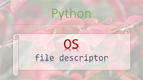 Python Modules 73 Os File Object And Descriptor Operations
