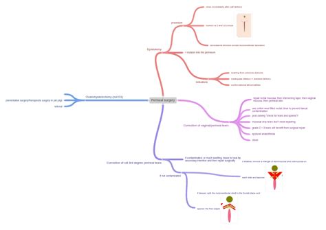 Perineal Surgery Coggle Diagram