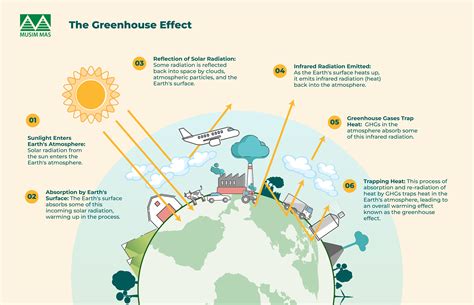 Causes Of Greenhouse Gases Greenhouse Gases Emission From Agricultural
