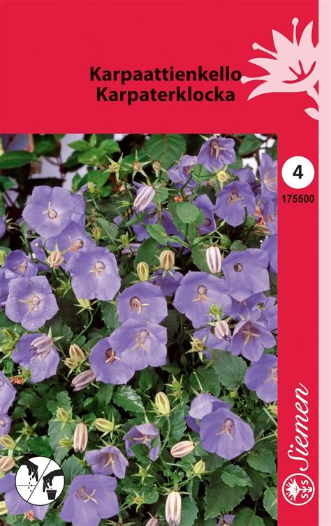 Karpaattienkello Sininen Prisma Fi Verkkokauppa