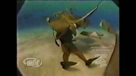Stingray Attack Steve Irwin
