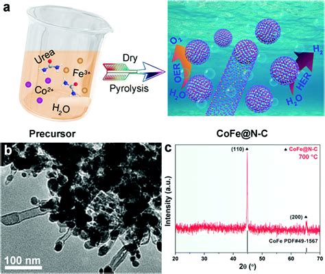 Single Crystalline Cofe Nanoparticles Encapsulated In N Doped Carbon
