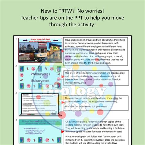 Prokaryote Vs Eukaryote Cell Structure Activity Reading Discussion And Notes