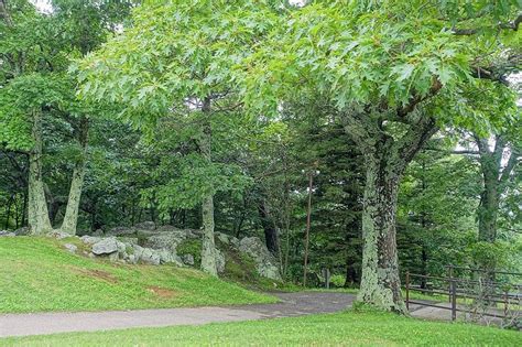 The Making Of Serial Killer Marc Evonitz By Lisa Marie Fuqua True Crime Addiction Medium